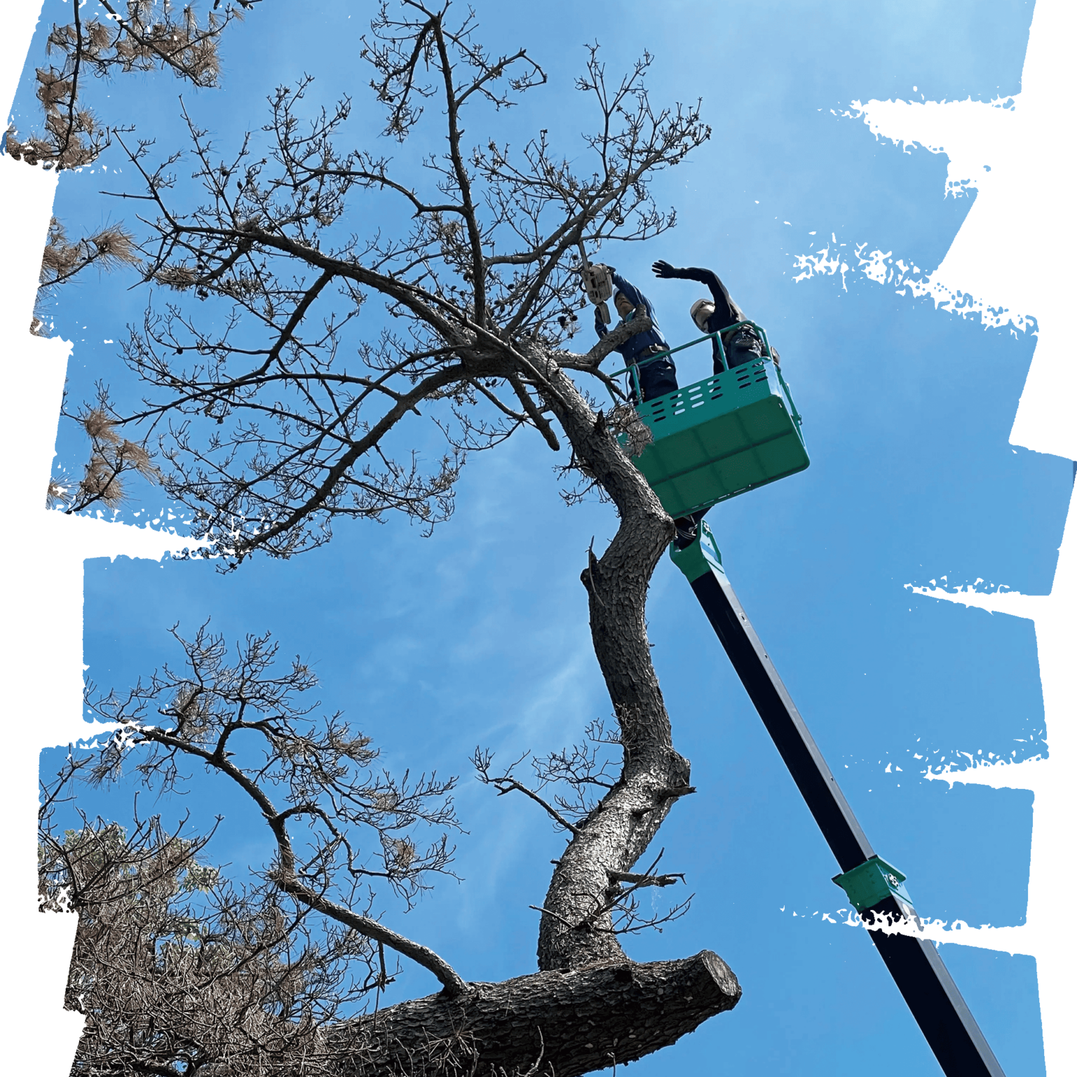 事業内容 | 株式会社LIFESEED